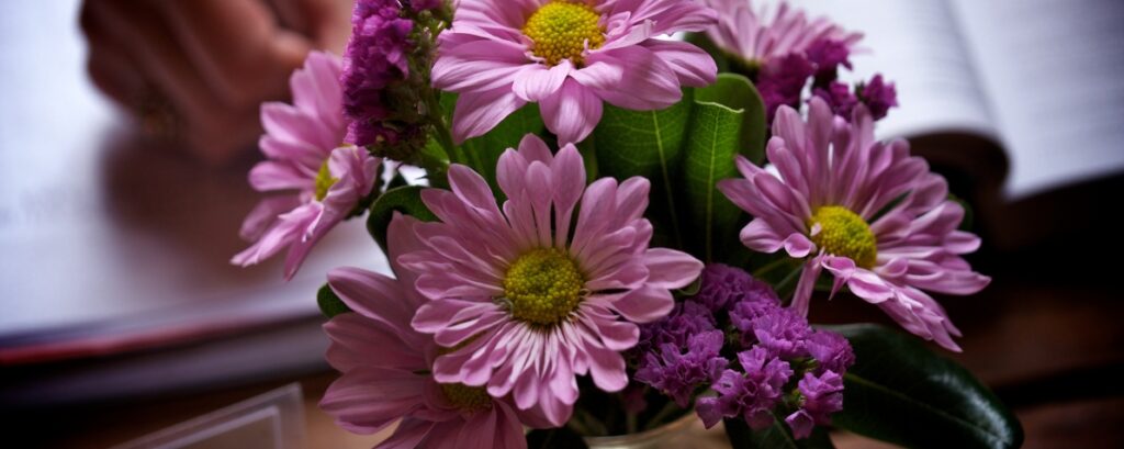 Flowers - Walton's Fancy & Staple | Austin, TX